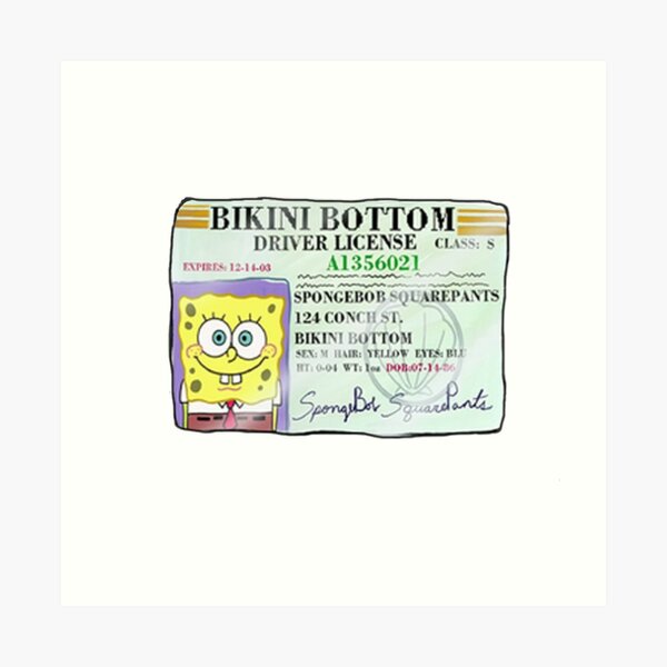 "Spongebob Squarepants Driver's License" Art Print for Sale by akachayy ...
