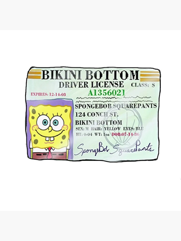  Spongebob Squarepants Driver s License Photographic Print By Akachayy 