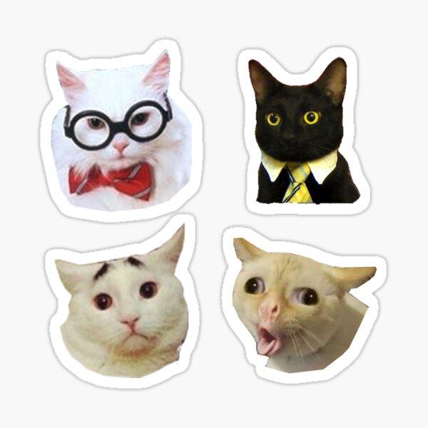 "Meme Cats Pack of Stickers" Sticker for Sale by Saidbenaissa | Redbubble