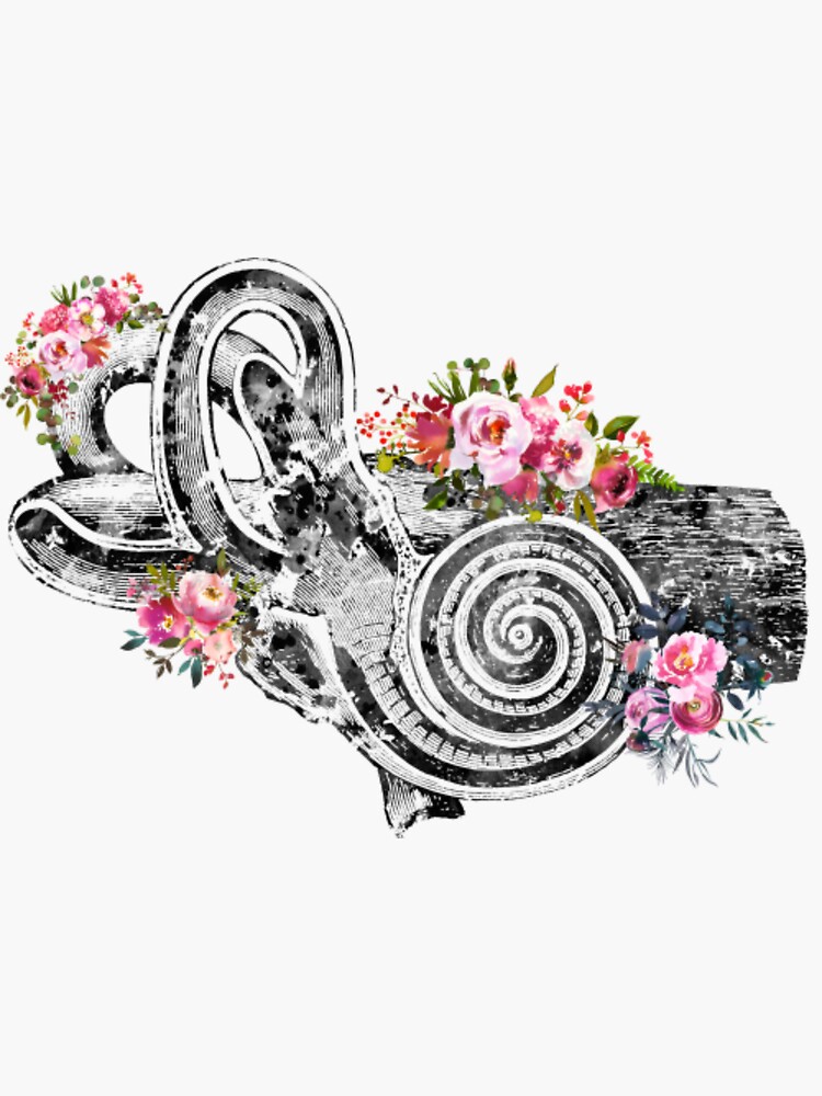 "Human Ear" Sticker for Sale by wallpaperopo | Redbubble