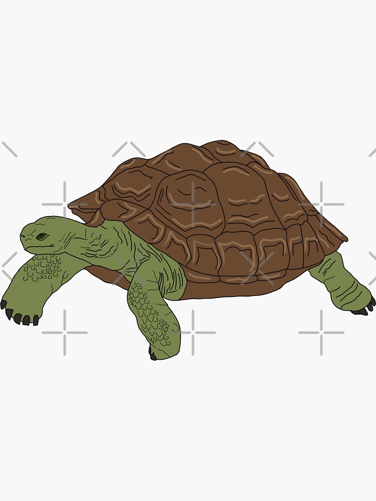 "Terry the turtle " Sticker for Sale by tfage | Redbubble