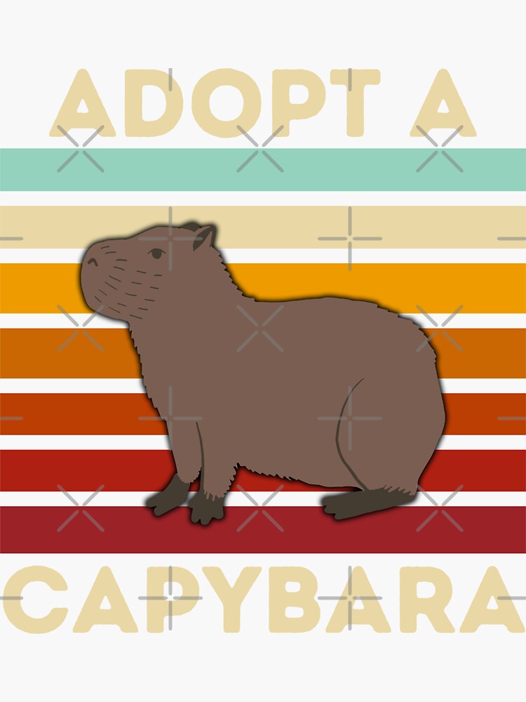 "Adopt a Capybara, Big Rodent Capybara Meme" Sticker for Sale by ...