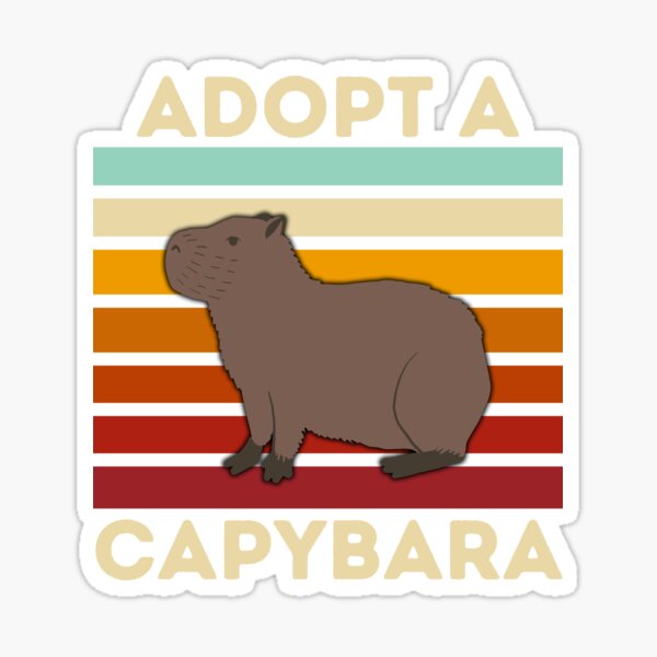 "Adopt a Capybara, Big Rodent Capybara Meme" Sticker for Sale by ...