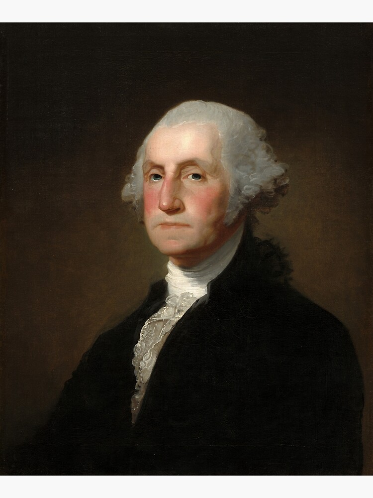 "George Washington" Poster for Sale by MuseoCouture | Redbubble