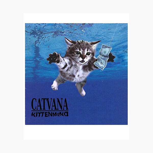 Nirvana Gifts & Merchandise for Sale | Redbubble