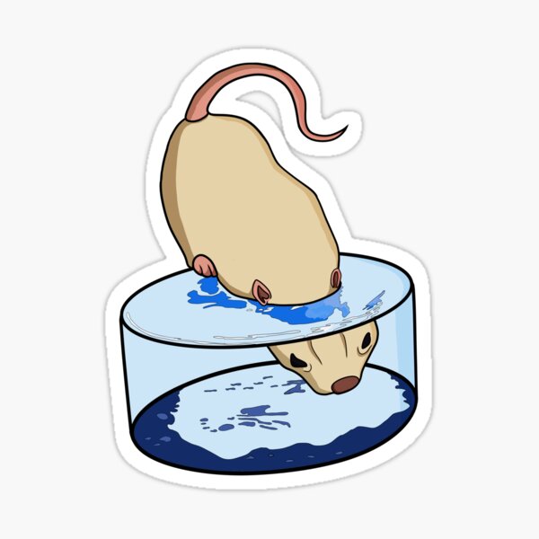 "Mouse Meme" Sticker for Sale by wandw2018 | Redbubble