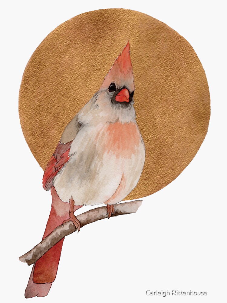 "Watercolor Female Cardinal" Sticker for Sale by crittenhouseart ...