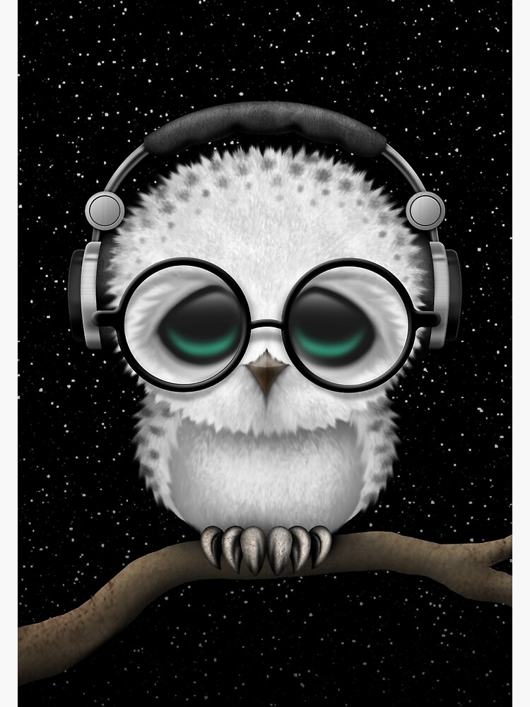 "Baby Owl Dj with Headphones and Glasses" Art Print by JeffBartels ...