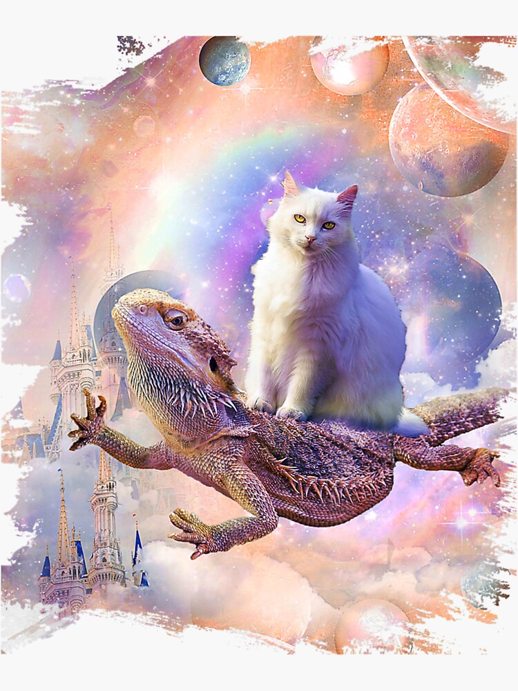 "Space Cat Riding Bearded Dragon Lizard" Sticker for Sale by KrystClear ...