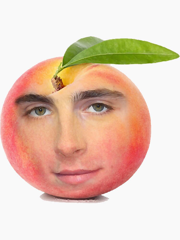 "Timothée Chalamet peach design" Sticker for Sale by Jenniferruz ...