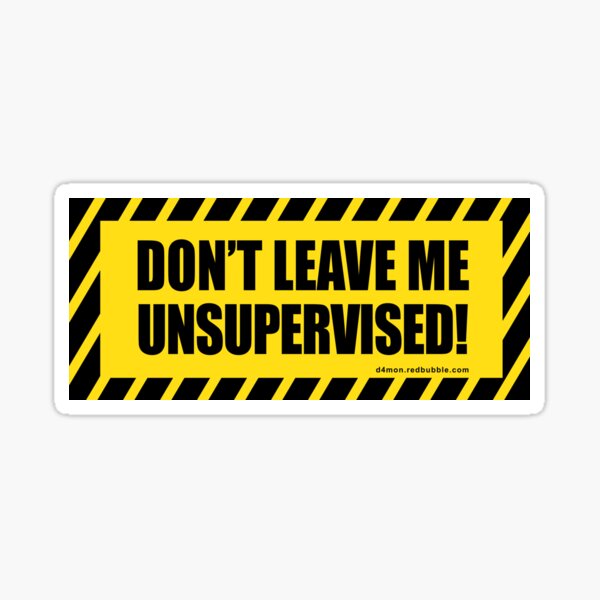 "Don't leave me unsupervised! Warning" Sticker for Sale by D4mon ...
