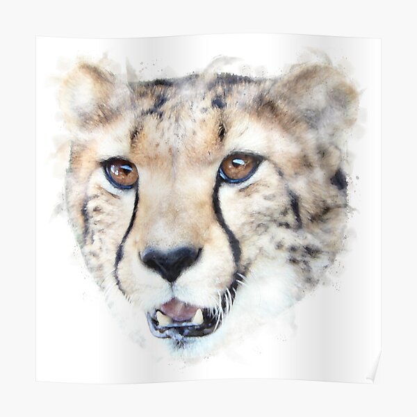 "King Cheetah Watercolour Artwork" Poster for Sale by Typeglyphs ...