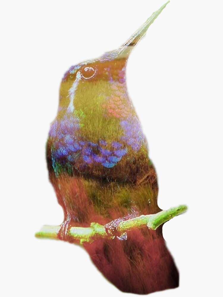 "Hummer" Sticker for Sale by jordannebowen | Redbubble