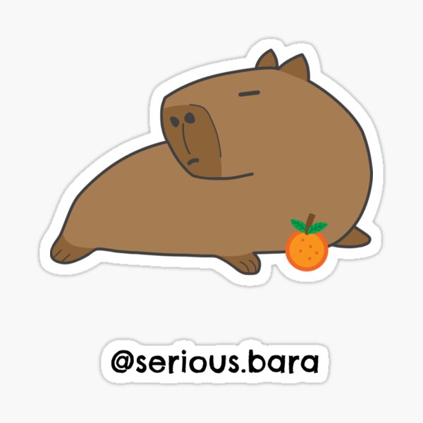 "Lying Cute Capybara With Orange - @serious.bara " Sticker for Sale by ...