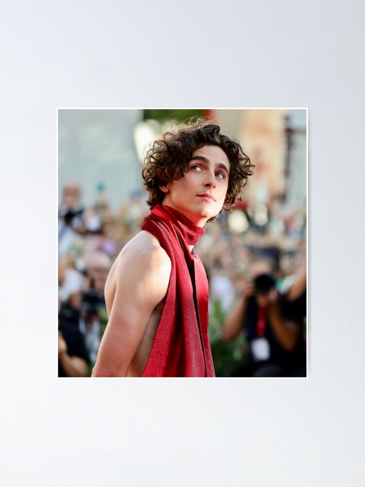 "timmy" Poster for Sale by notjuststicke | Redbubble