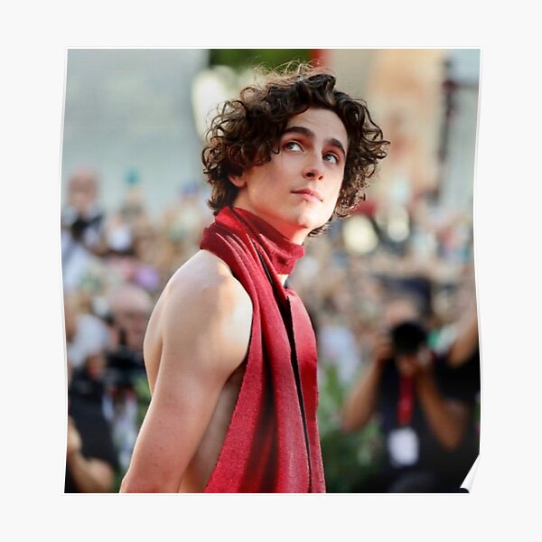 "timmy" Poster for Sale by notjuststicke | Redbubble