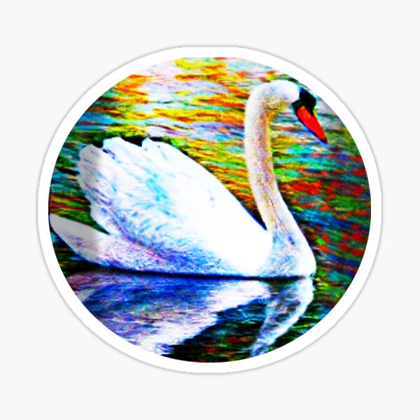 "Beautifully Colored Swan On lake " Sticker for Sale by mrtom414 ...