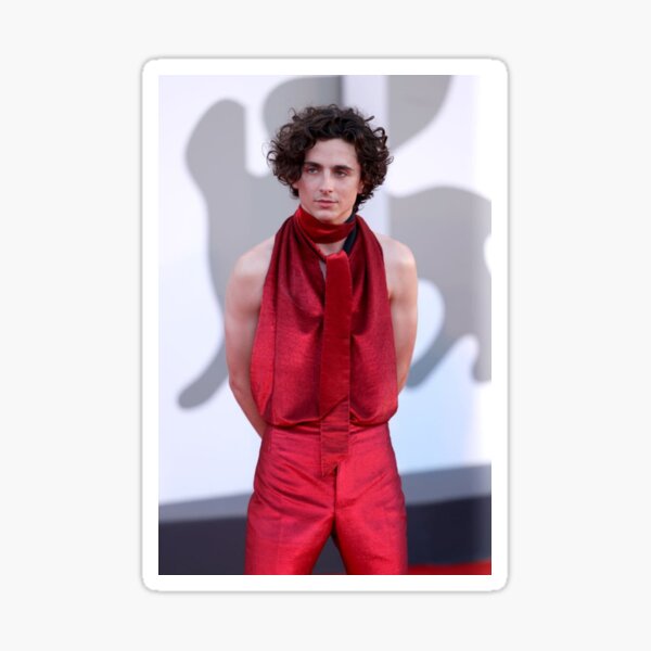 "timmy" Sticker for Sale by notjuststicke | Redbubble