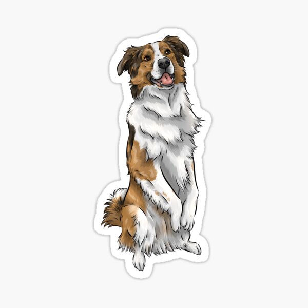 "English Shepherd | Sable and White | Cute Dog Art" Sticker for Sale by ...