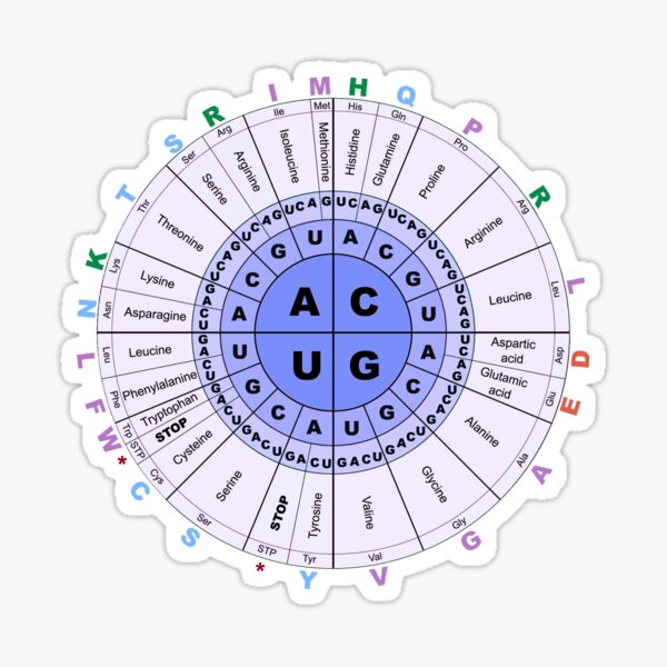 "Genetic Codon Wheel - Periwinkle " Sticker for Sale by littlebrownpoet ...