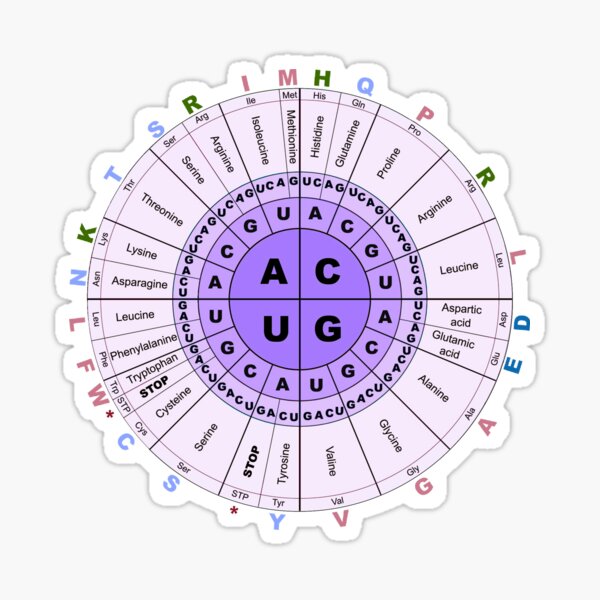 "Genetic Codon Wheel - Lilac" Sticker for Sale by littlebrownpoet ...
