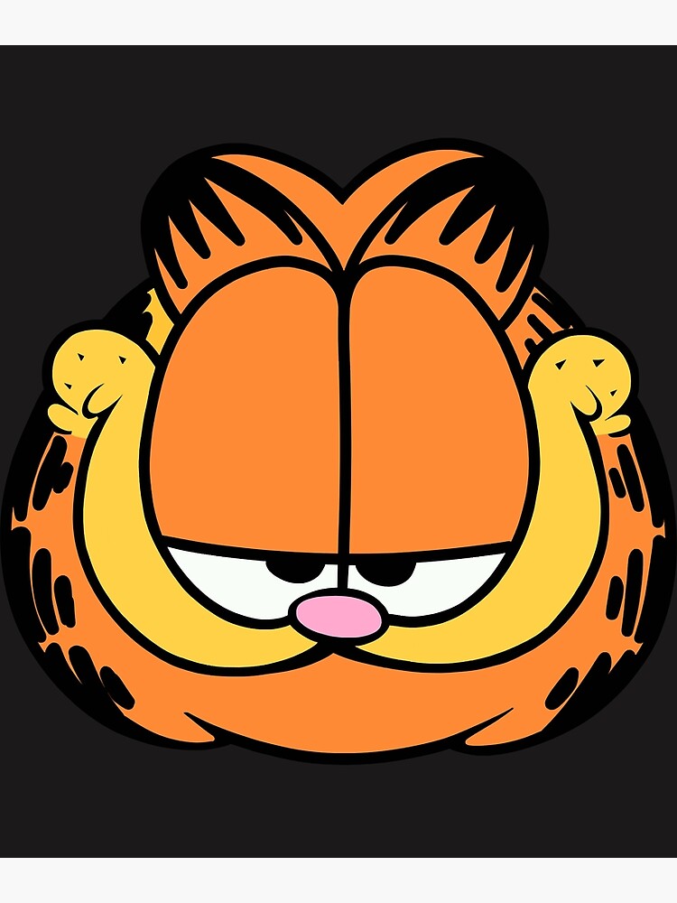 "Garfield face " Poster for Sale by okieokeke8 | Redbubble