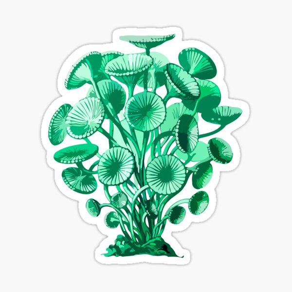 "Underwater Algae" Sticker for Sale by Snapdragonlady | Redbubble