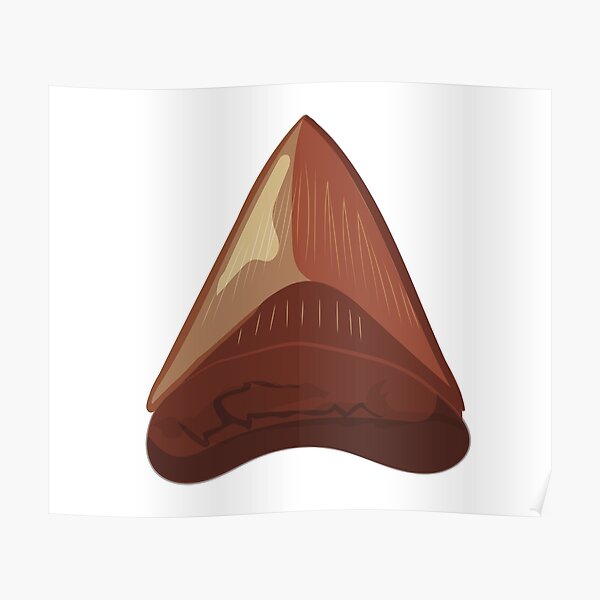 "Bronze Megalodon Tooth (Bronze Prehistoric Shark Tooth)" Poster for ...