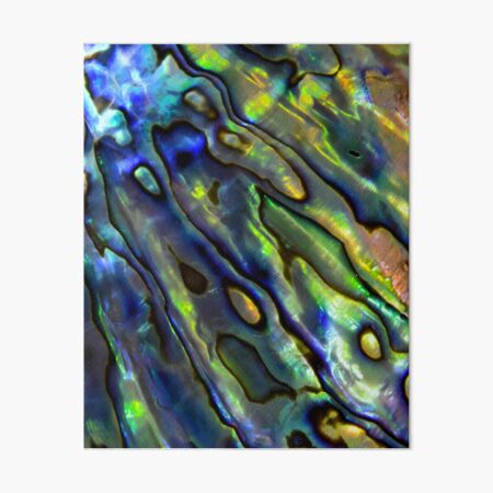 "Abstract Paua Abalone Shell Texture Pattern, Polished Paua Abalone ...