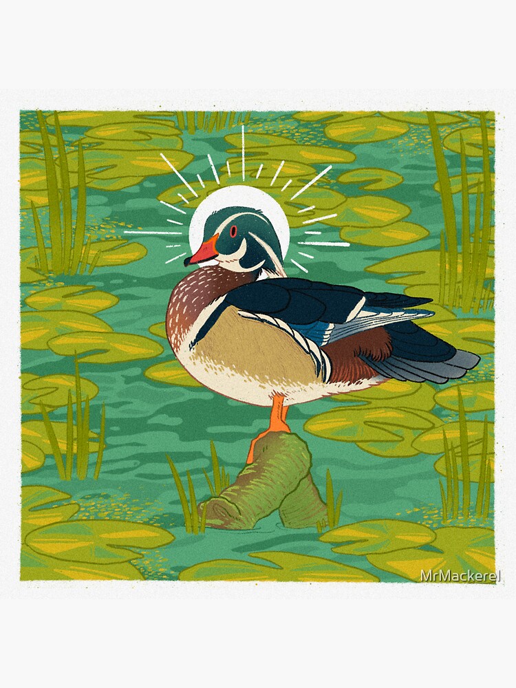 "Wood duck" Sticker for Sale by MrMackerel | Redbubble