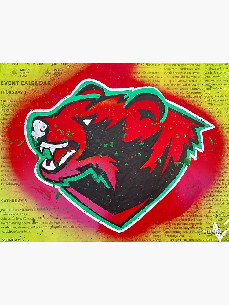"WashU Bears Spray Paint" Sticker for Sale by jtewari1 | Redbubble