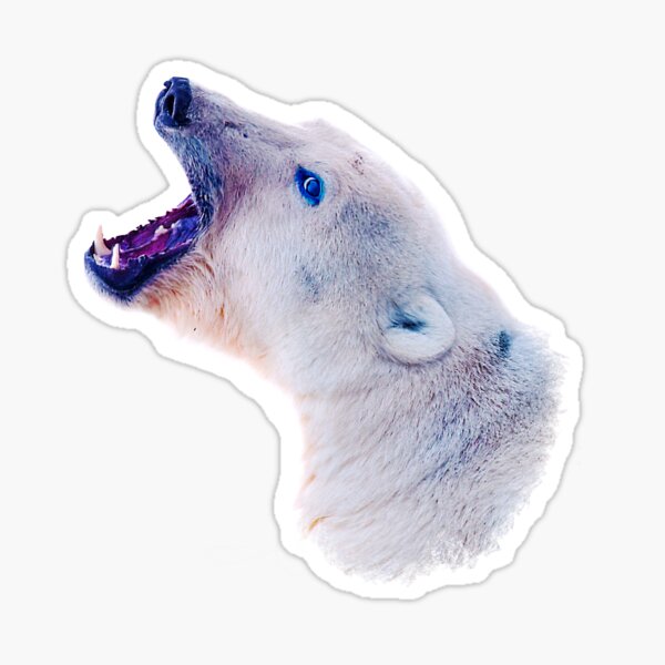 Polar Bear Head Sticker For Sale By Abowlofsoda Redbubble