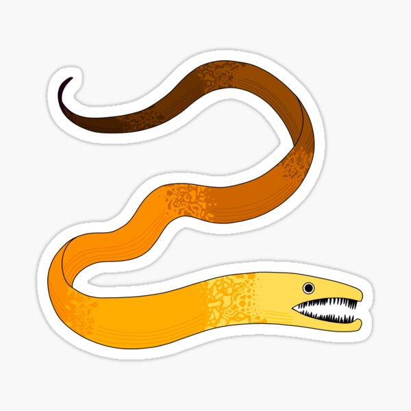 "Golden Eel" Sticker for Sale by SpaceDiver-001 | Redbubble