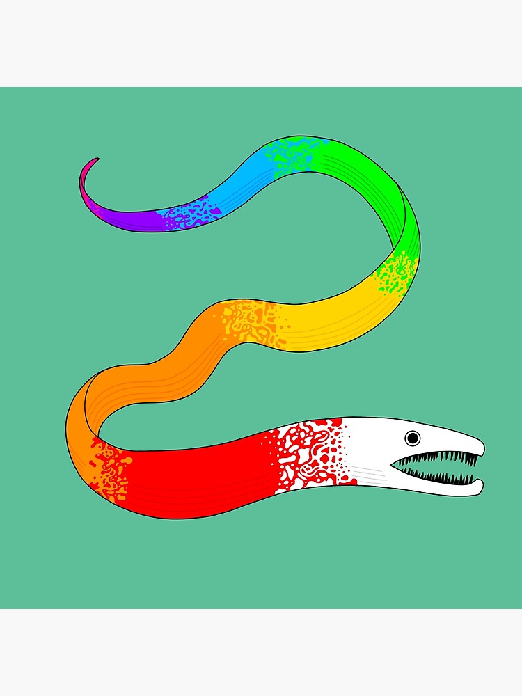 "Rainbow Eel" Poster for Sale by SpaceDiver-001 | Redbubble