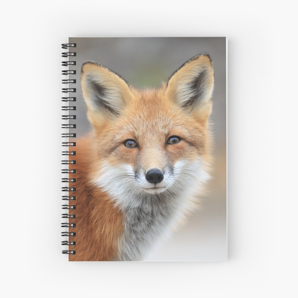 "Red Fox Face" Spiral Notebook for Sale by mlorenz | Redbubble