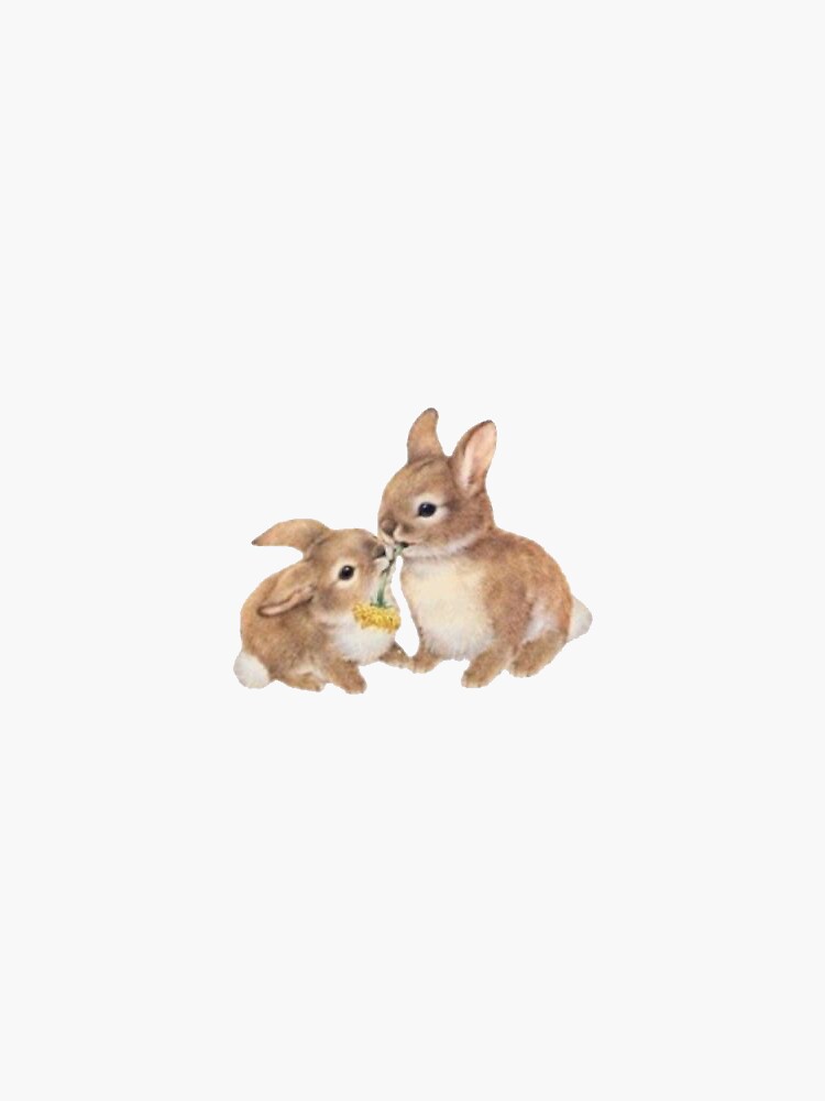 "Coquette Bunny" Sticker for Sale by mollytealo | Redbubble