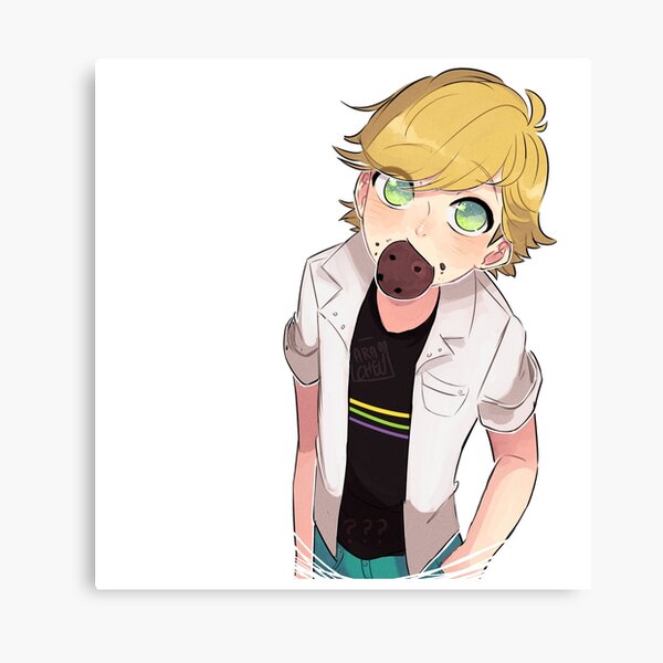 Adrien Agreste Canvas Prints | Redbubble