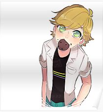 Adrien Agreste Posters | Redbubble