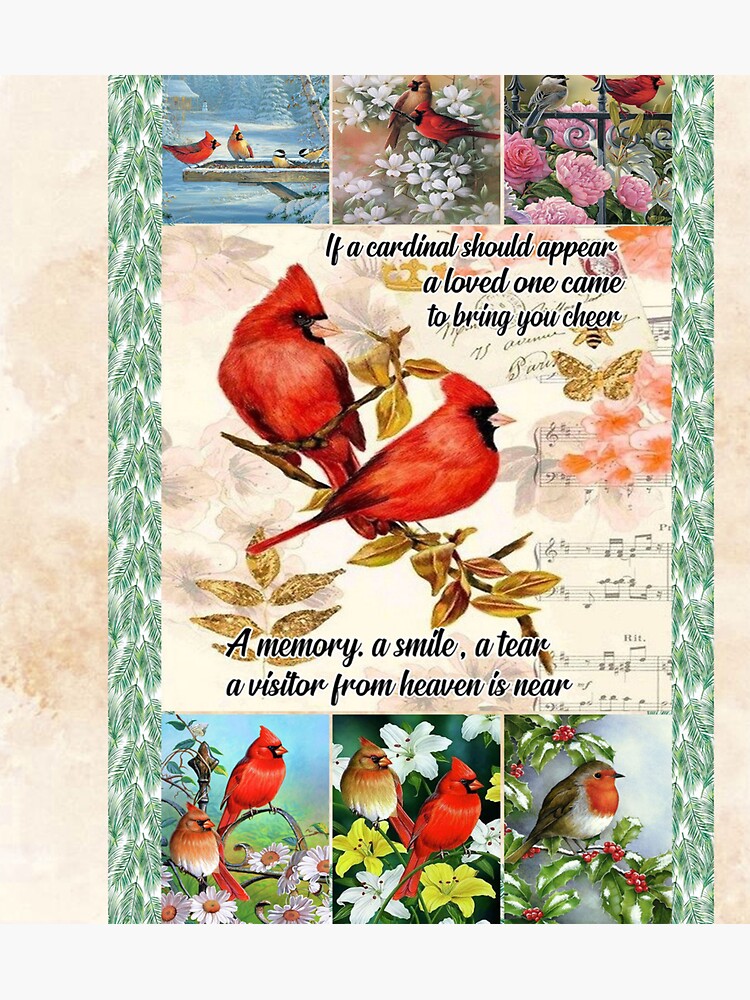 "Vintage Cardinals a Memory a Smile a Tear a Visitor From Heaven Is ...