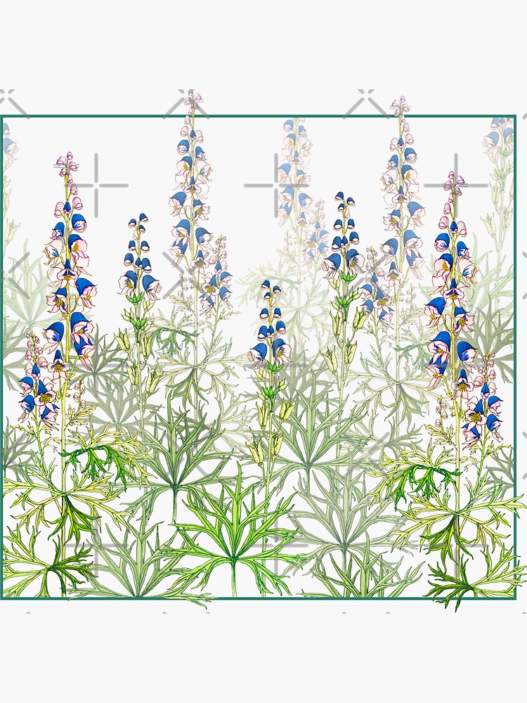 "Aconite - Vintage illustration" Sticker for Sale by TurnTheMoon ...