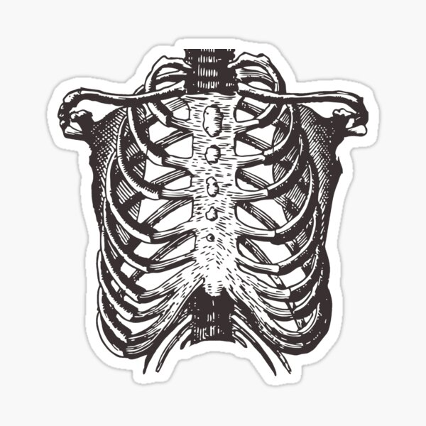"Scary Skeleton Rib Cage for Halloween" Sticker for Sale by UnicorMaid ...
