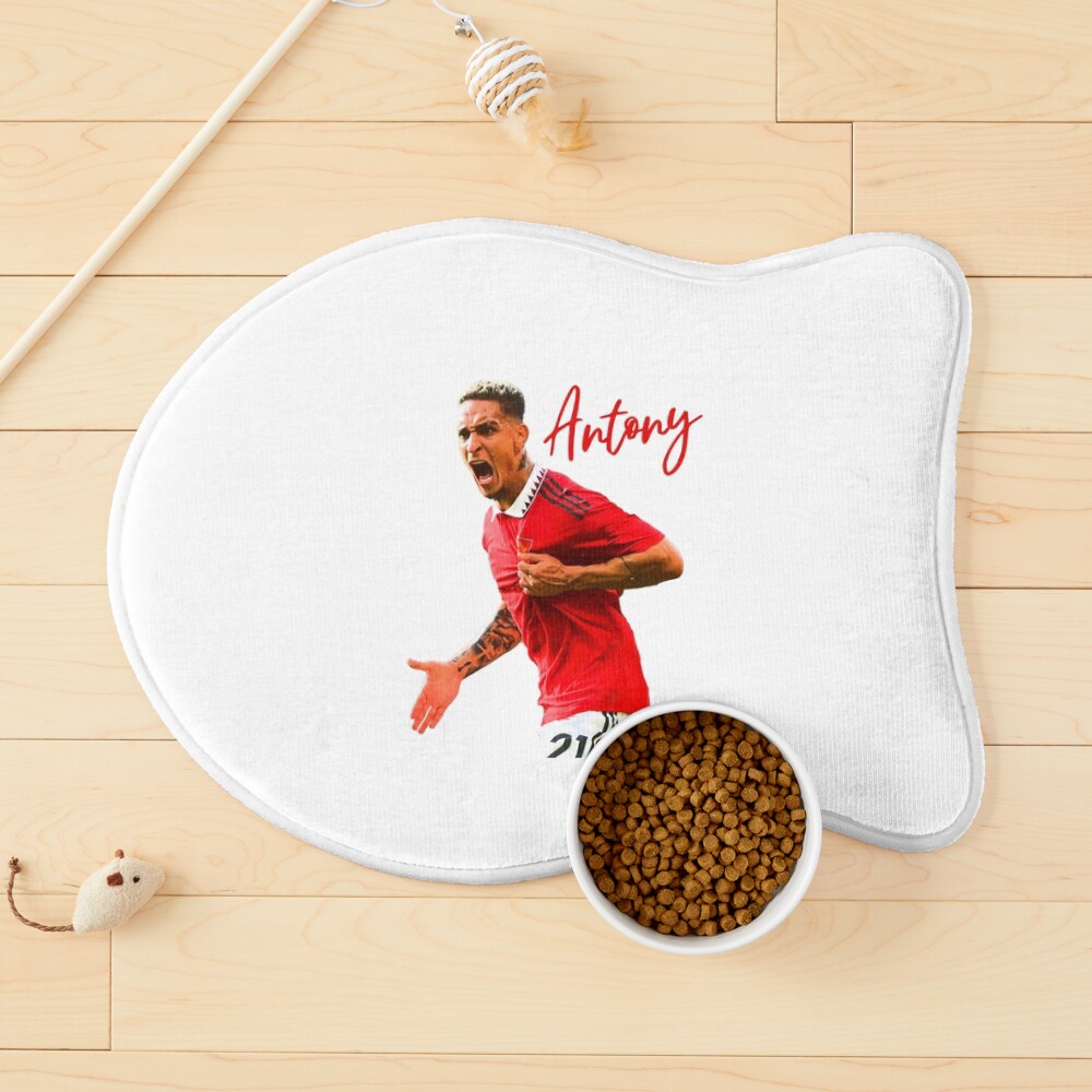 "Antony" Sticker for Sale by Truefans | Redbubble