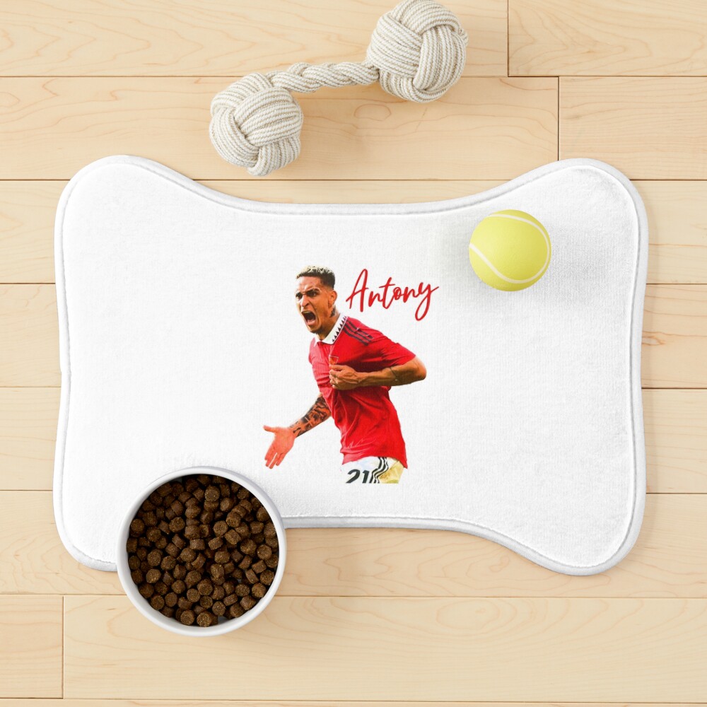 "Antony" Sticker for Sale by Truefans | Redbubble