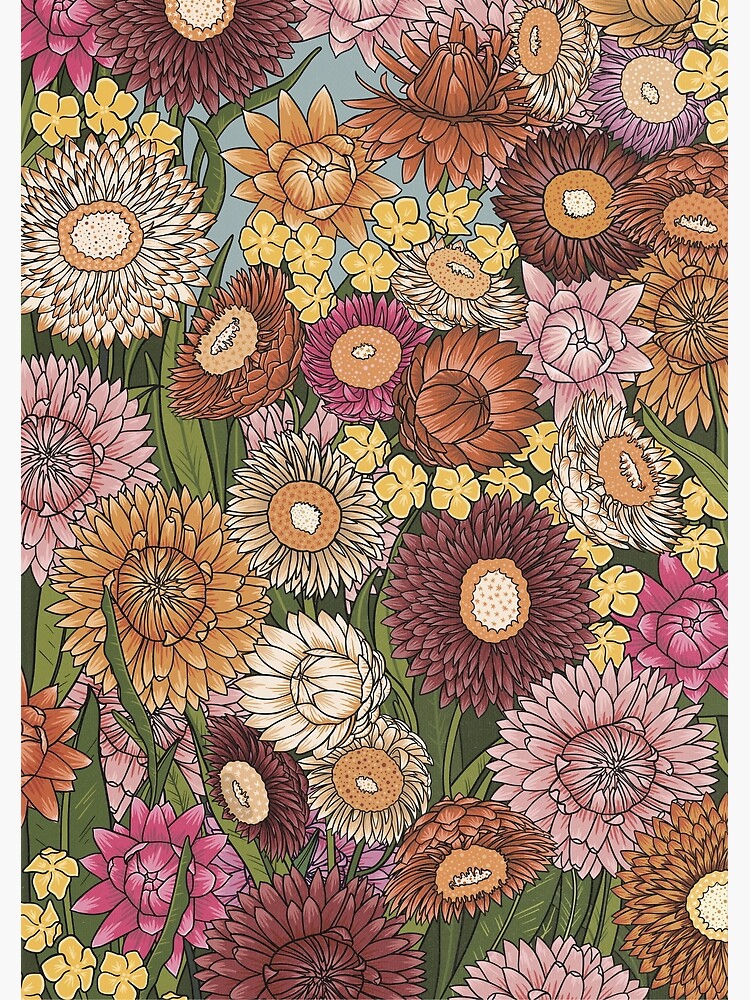 "Everlasting Daisy Illustration" Poster for Sale by DaisyGrumley ...