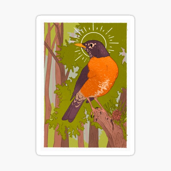 "American robin" Sticker for Sale by MrMackerel | Redbubble
