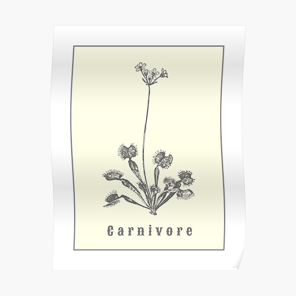 "Carnivore Plant Fly Trap" Poster for Sale by uvctdesign | Redbubble