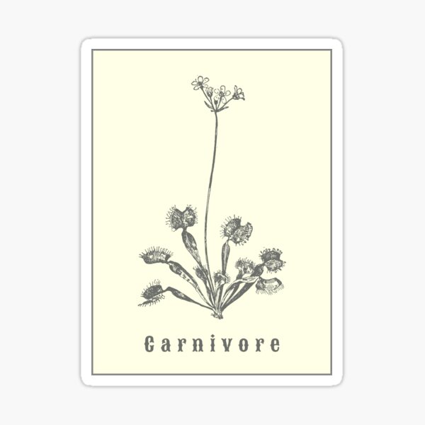 "Carnivore Plant Fly Trap" Sticker for Sale by uvctdesign | Redbubble