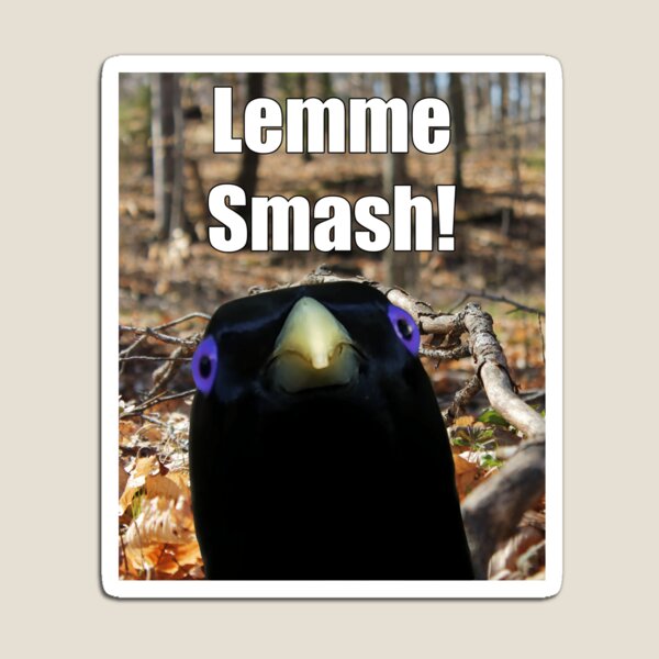 Becky Lemme Smash Gifts & Merchandise | Redbubble