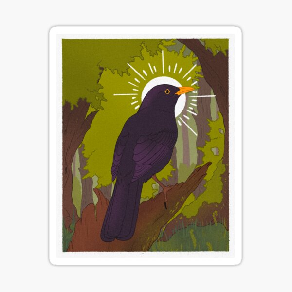 "Common blackbird" Sticker for Sale by MrMackerel | Redbubble