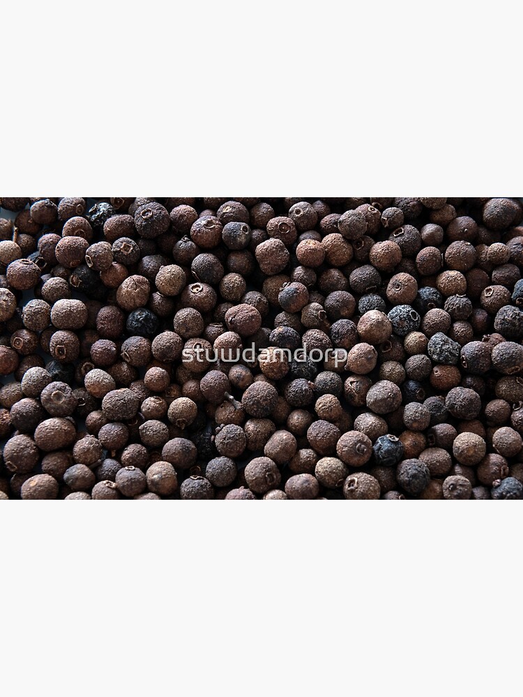 " Allspice, Jamaica pepper, myrtle pepper, pimenta, or pimento" Poster ...